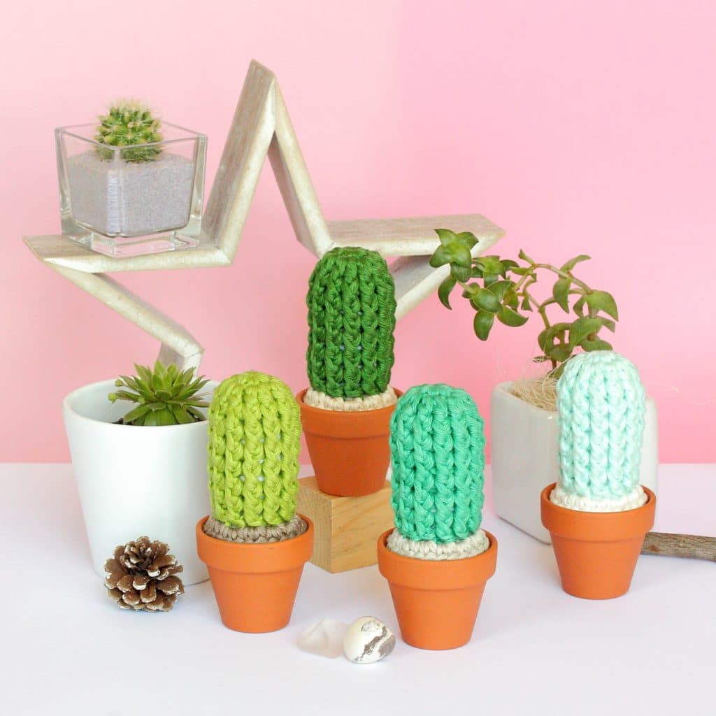 Accueil / Déco sur commande / Amigurumi cactus tube M – Coloris au choix